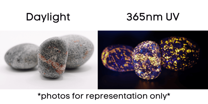 Yooperlites - Rough or Polished – The Petoskey Stone